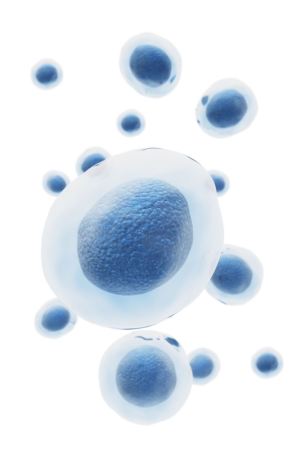 Systeme 41: Skin Care Essentials Kit; 5 piece kit; skin care science ...